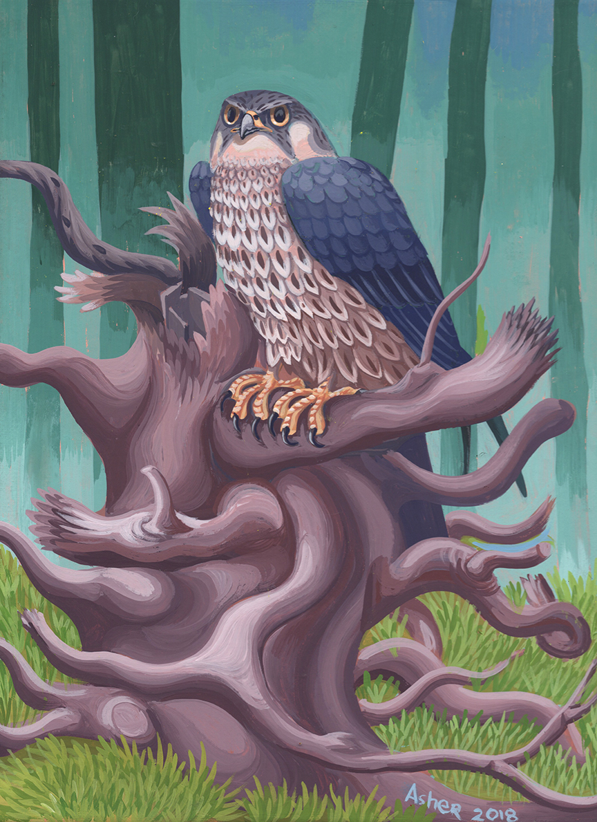 Birds of Prey – Ed Asher Briant