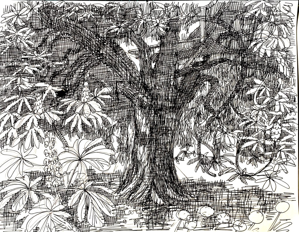 Drawing Portfolio – Ed Asher Briant